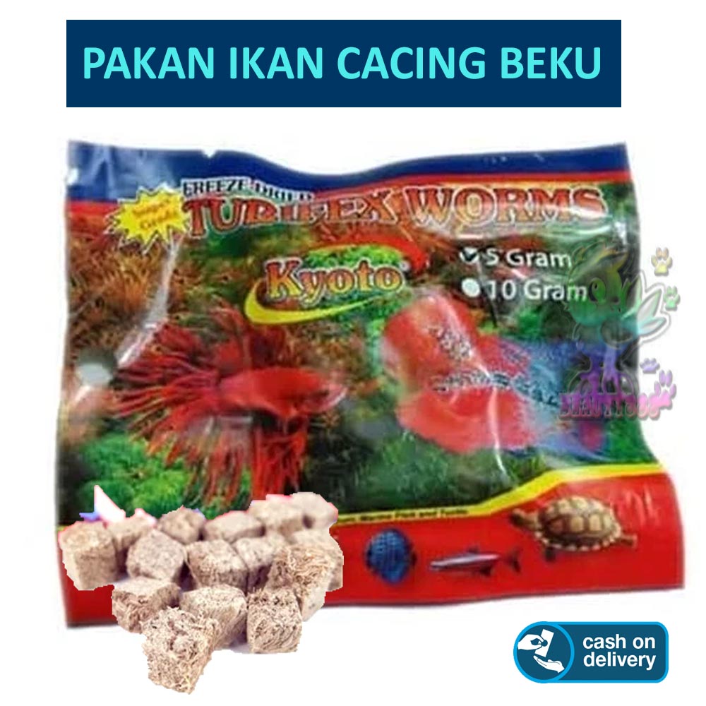 BEAUTY - 5 GRAM KYOTO CACING BEKU TUBIFEX WORMS Sinking Cacing Kering ...