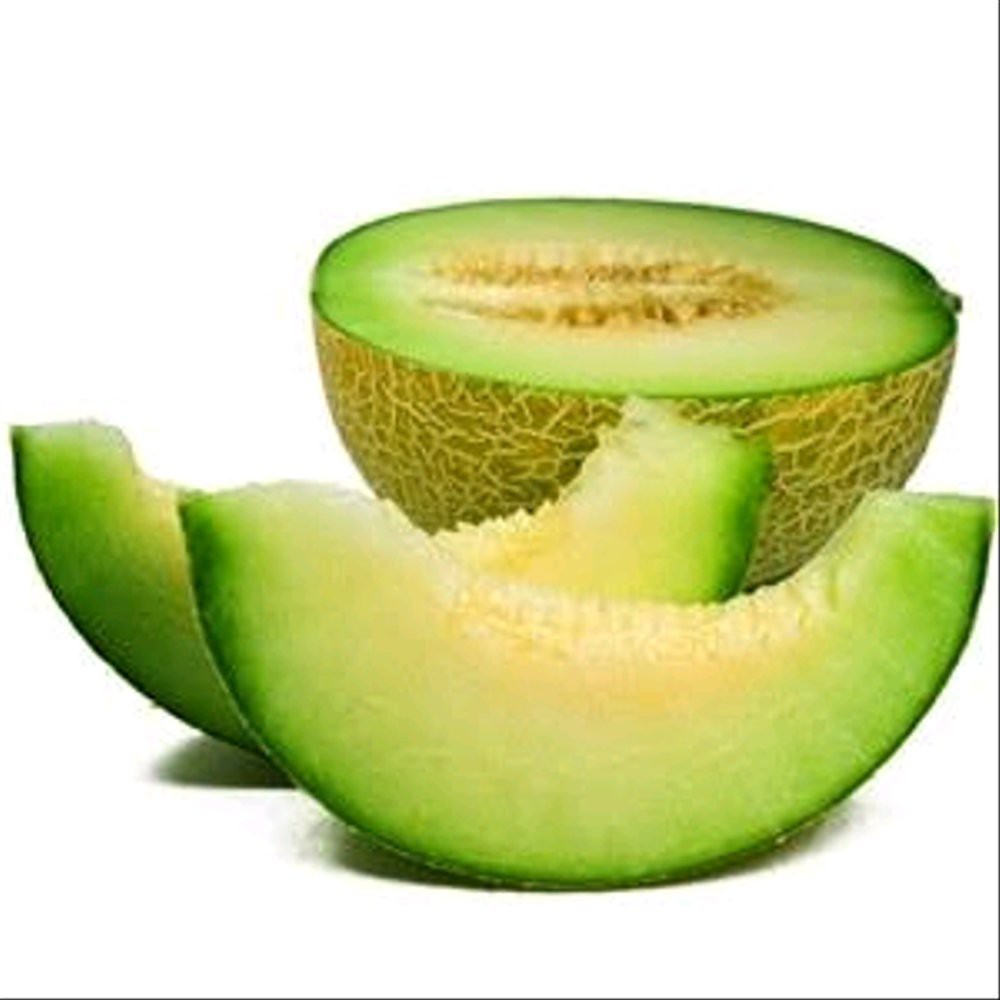 ISI 3 BIJI benih biji melon sky rocket -seedstore | Lazada Indonesia