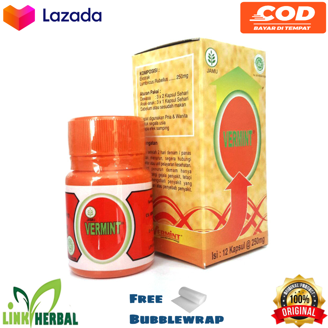 Vermint | Vermin | Obat Penyakit Tifus / Tipes / Typus 12 Kapsul ...