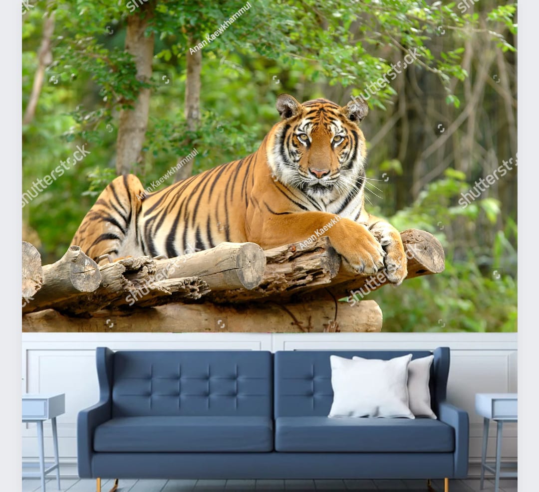 TERMURAH WALLPAPER MACAN CUSTOM 3D - WALLPAPER MACAN - WALLPAPER ...