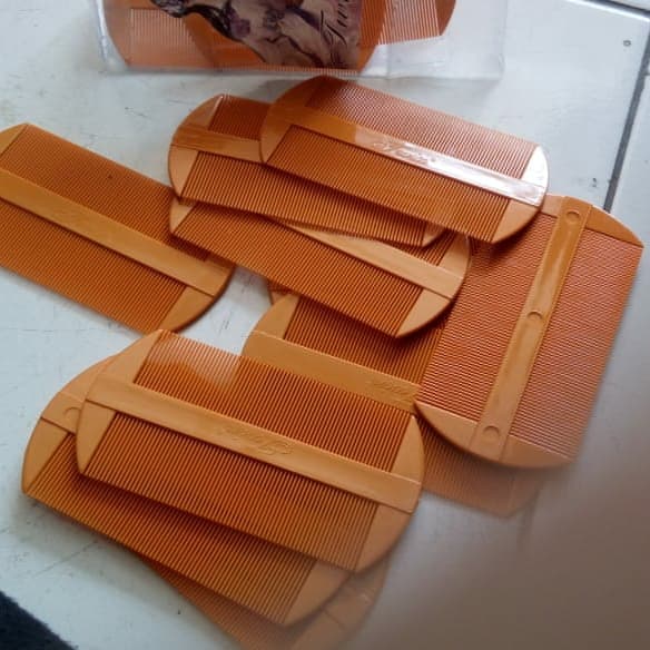 Sisir serit kutu plastik 12 pcs 2 varian warna | Lazada Indonesia