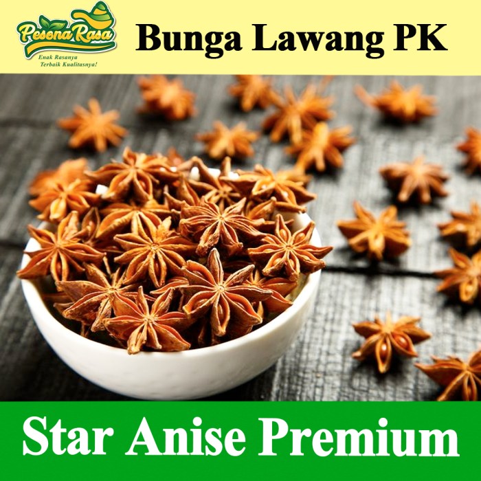Bunga Lawang 100 gr / Star Anise Premium / Pekak 100 Gram | Lazada ...
