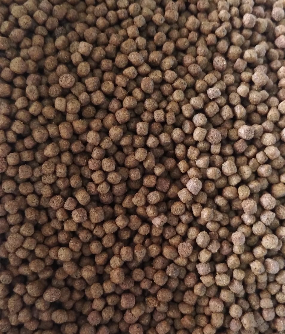 Pakan Ikan Lele 781-1 Respack 1kg pelet lele | Lazada Indonesia