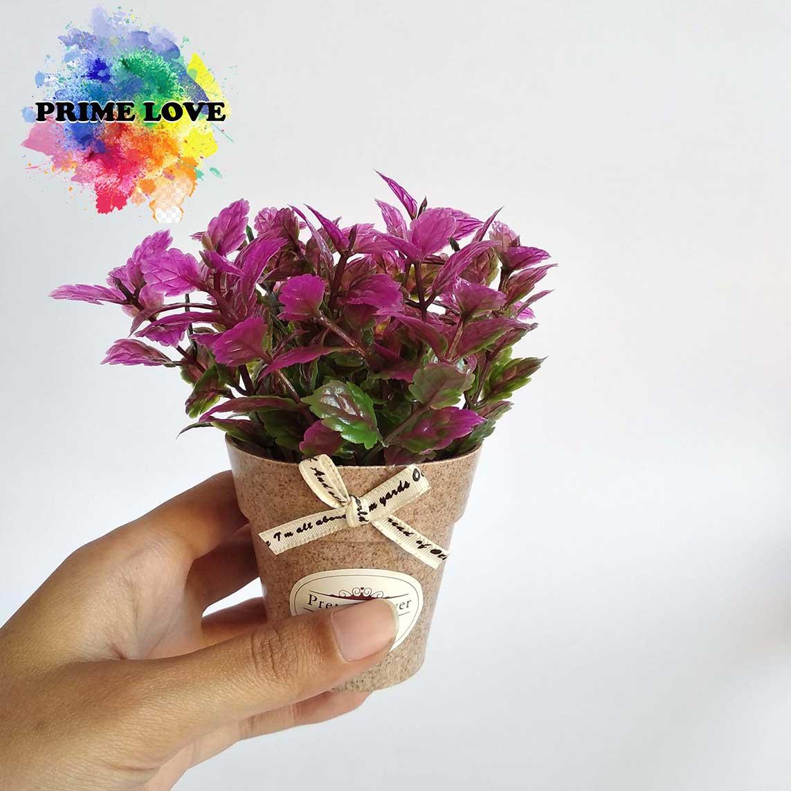 Vas Bunga Unik Bunga Plastik Miana Mini Tiruan Artificial - Tanaman ...