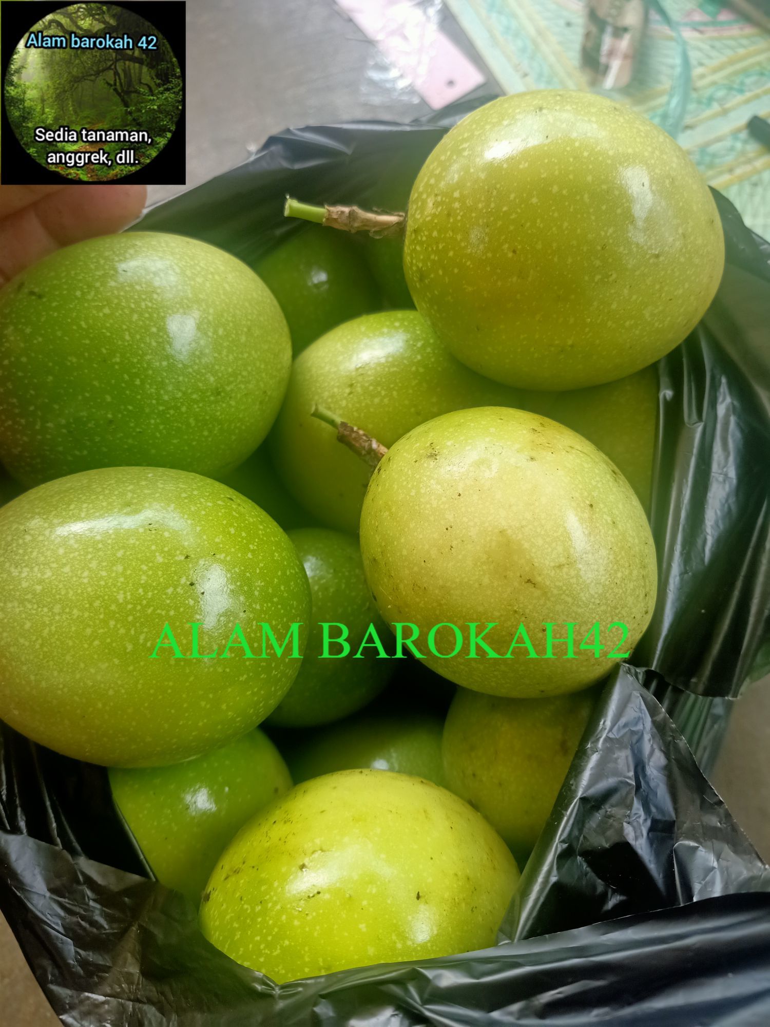 jual buah markisa segar rasa asam manis dadakan per 1 kg | Lazada Indonesia