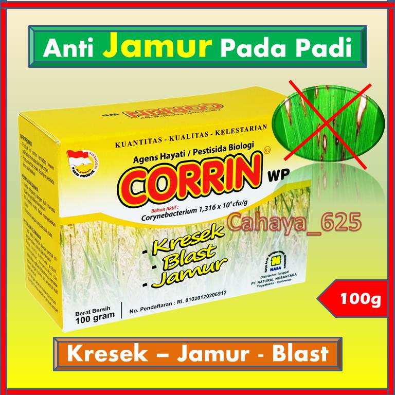 Obat Jamur Tanaman Padi Paling Ampuh 100g | Lazada Indonesia