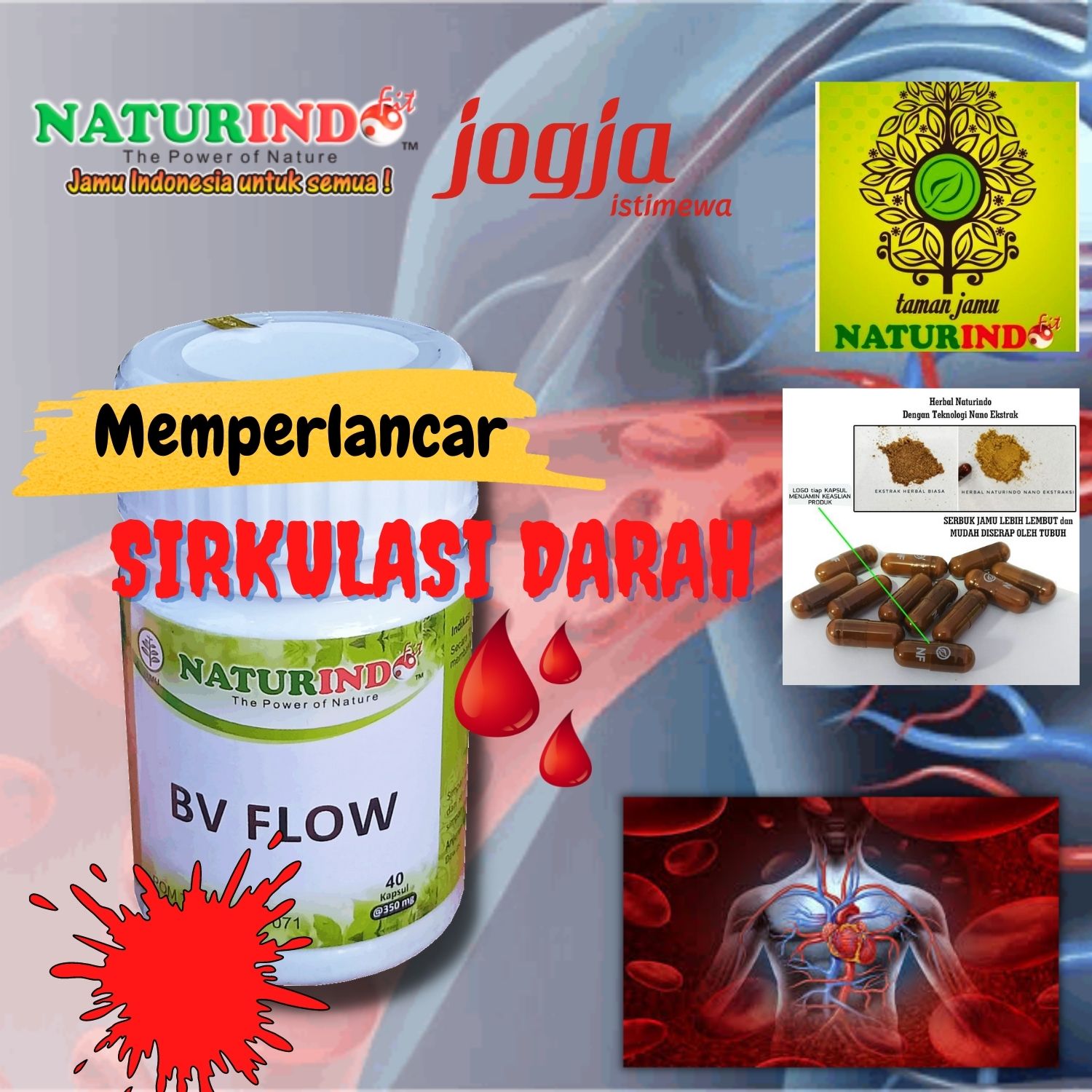 herbal BV FLOW (Spesial Penyumbatan) - NATURINDO | Lazada Indonesia