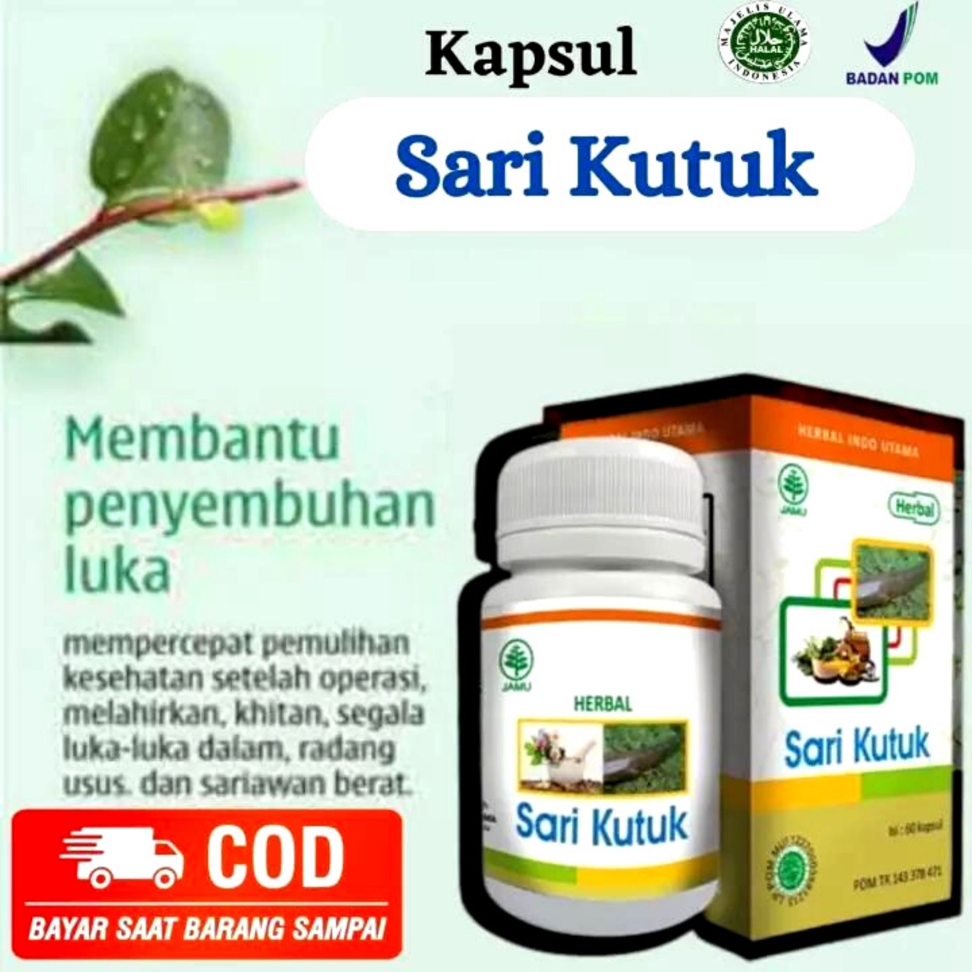 SARI KUTUK Obat Penyembuh Luka Dalam Bekas Operasi Sesar Caesar ...