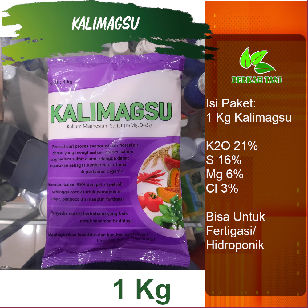 Kalimagsu 1 Kg Pupuk Kalium Silika Pencegah Boler Moler Umbi Dan ...