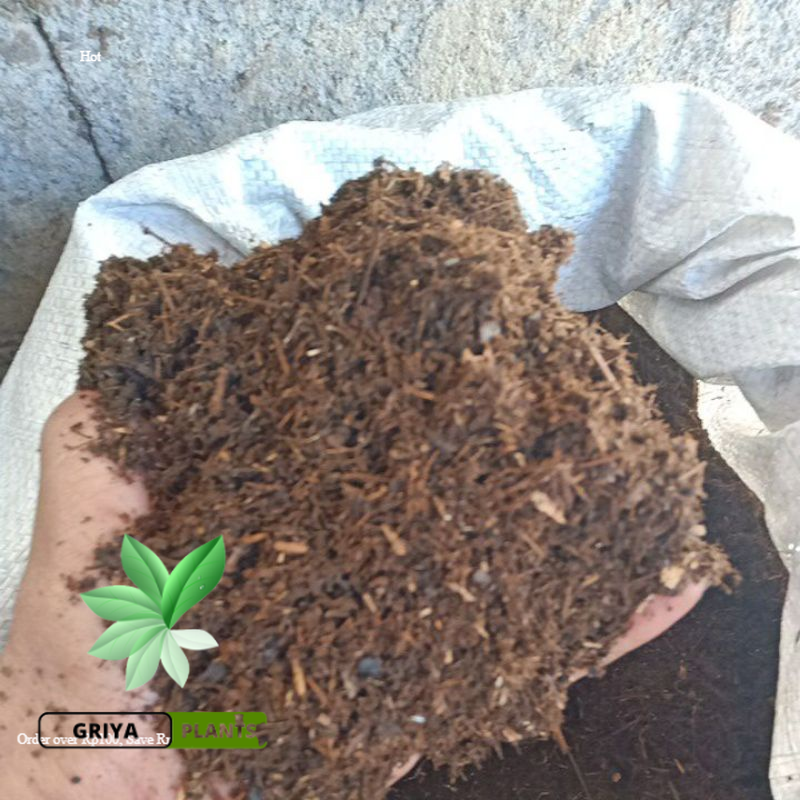 Humus Daun Bambu Pupuk Kompos Daun Bambu 500 gram | Lazada Indonesia