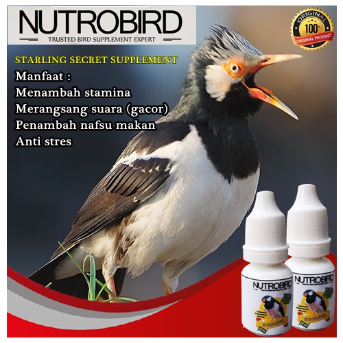 Terbatas Obat tetes penggacor burung jalak malas bunyi Nutrobird ...