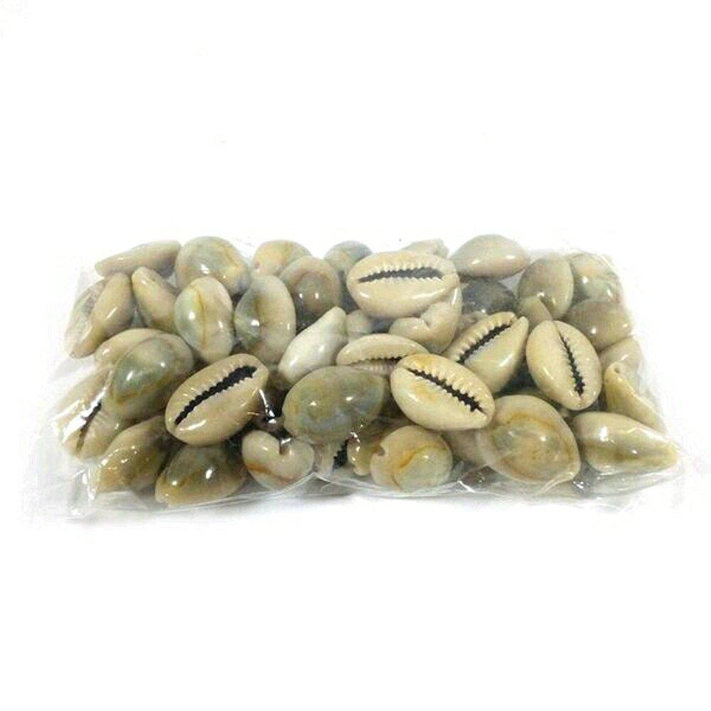 Kerang Biji dakon congklak mainan tradisional anak Isi 100 | Lazada ...