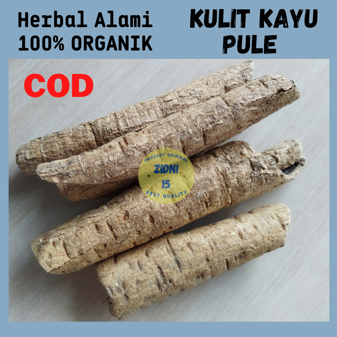 250g KULIT KAYU PULE KERING HRBAL BAHAN JAMU TRADISIONAL ORGANIK ...