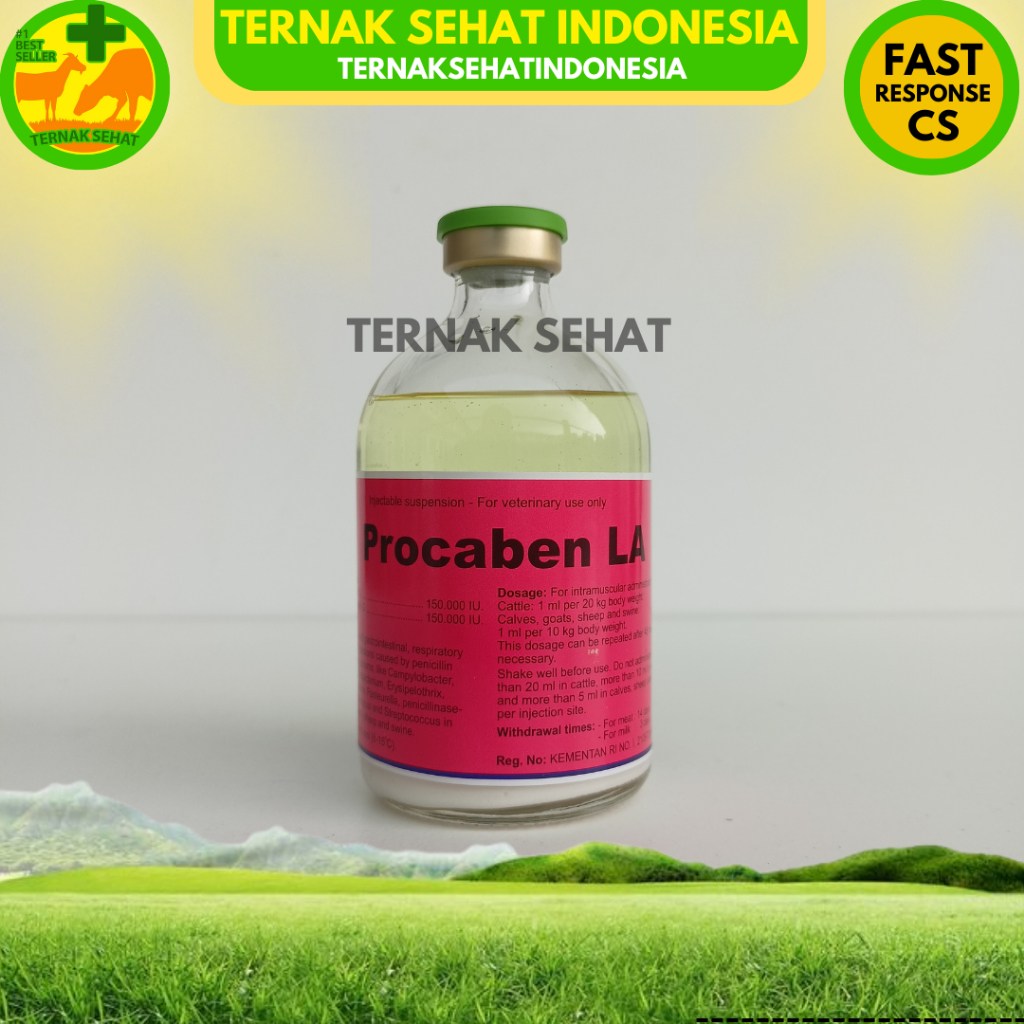 PROCABEN LA 100 ml pengganti PENS.TREP 400 - Anti.bio.tik Injeksi ...