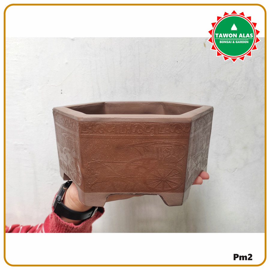 Pot Bonsai Segi Enam Unik | Lazada Indonesia