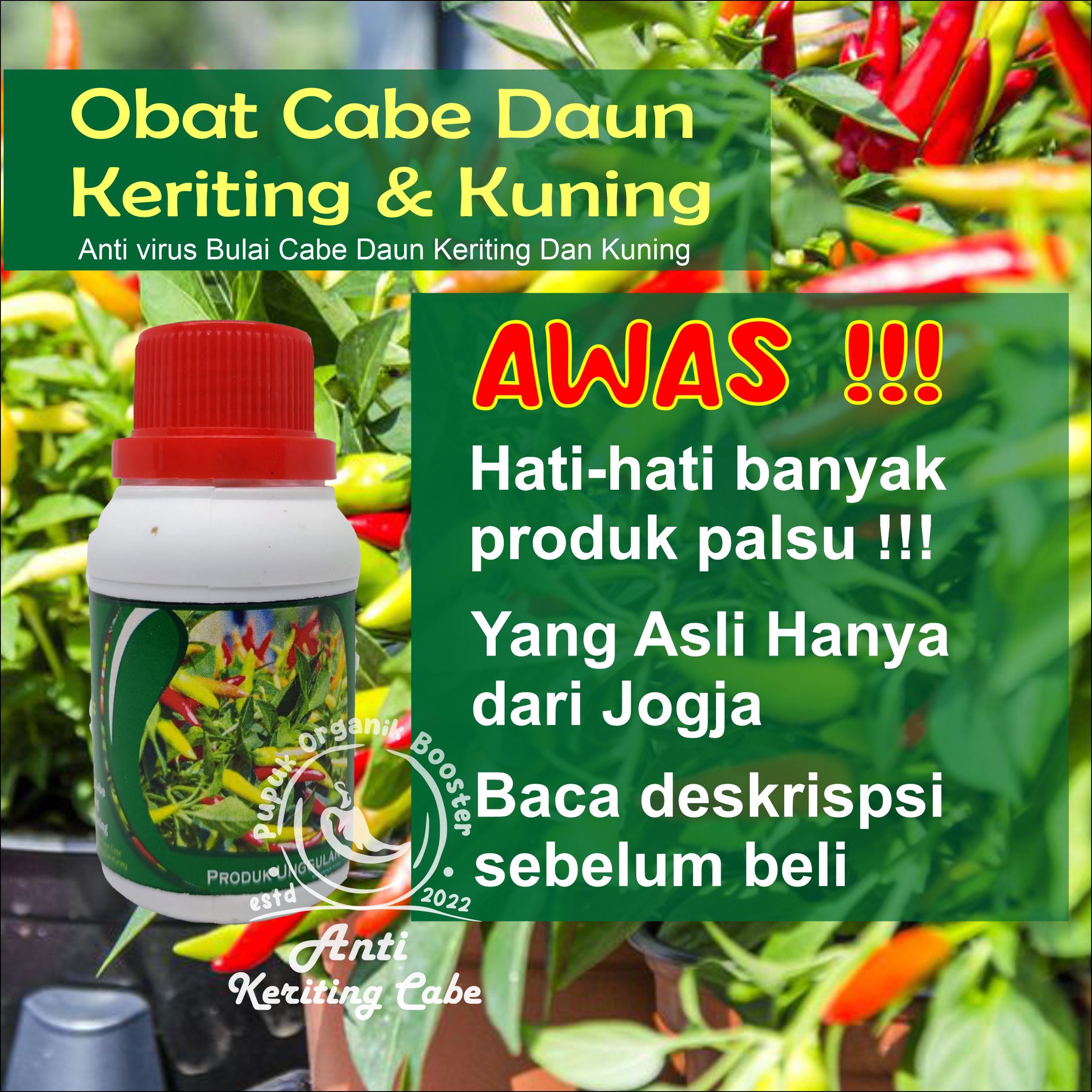 Obat Semprot Daun Cabe Keriting Bule Dan Kuning Bulai Cabai Rawit Basah ...