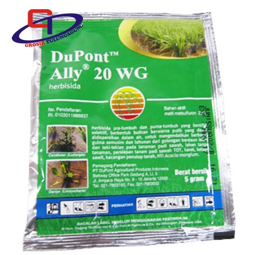 Obat Pertanian Pengendali Gulma Plus DUPONT Ally 20 WG | Lazada Indonesia