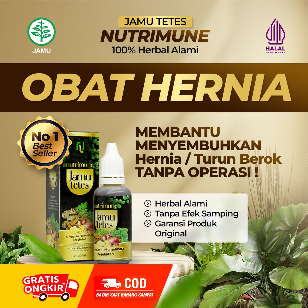 Nutrimune Obat Herbal / Obat Hernia Berkhasiat Mampu atasi Berbagai ...
