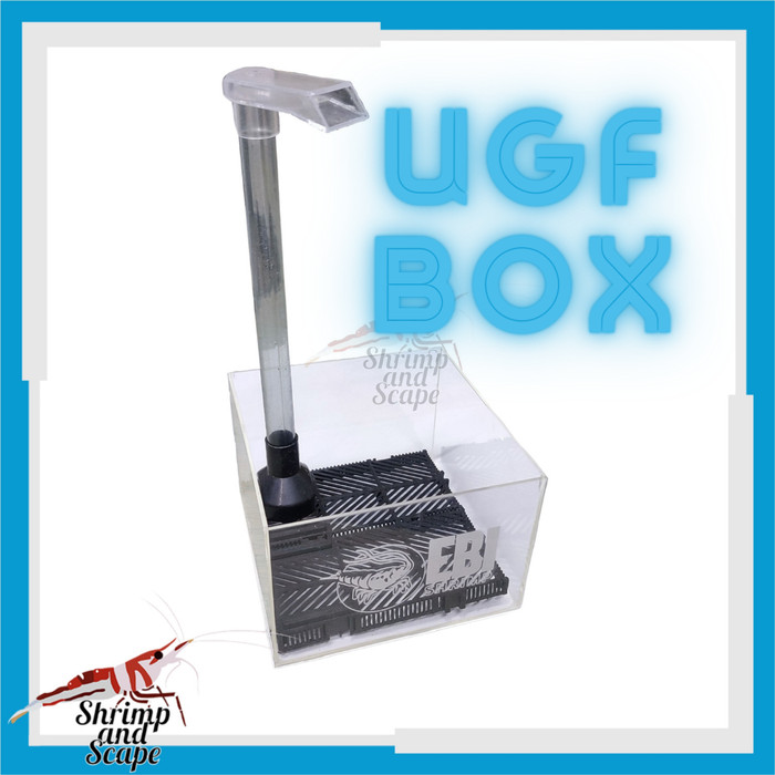 UGF Box Buffer pH by EBI Shrimp / Semi Undergravel Filter Under Gravel ...