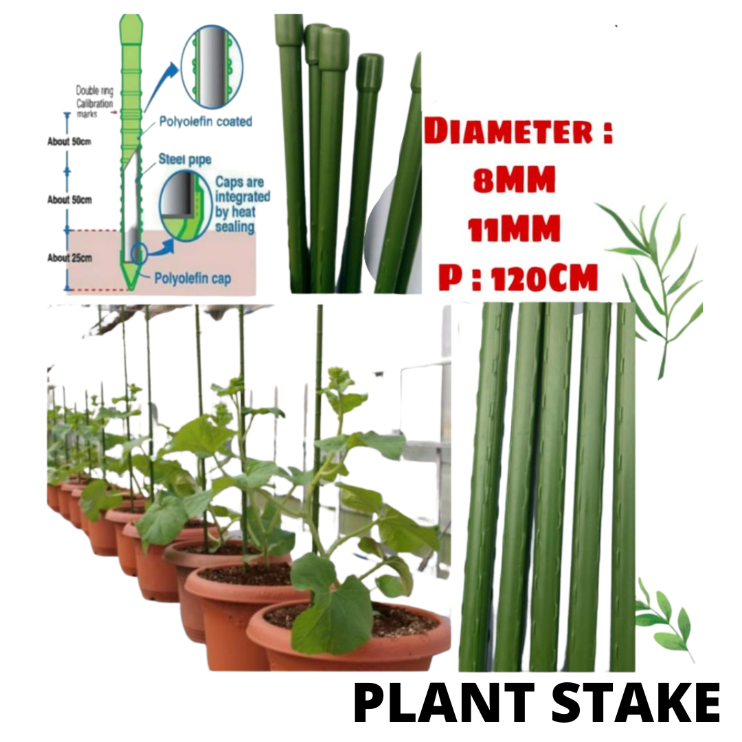 PLANT STAKE AJIR MODERN 120CM KUALITAS JEPANG penyangga tanaman ...