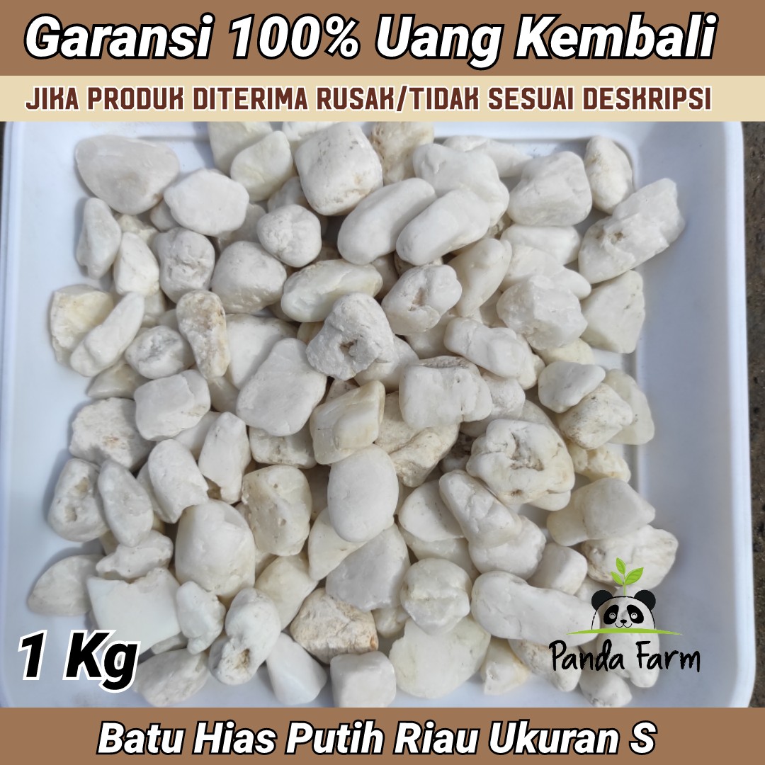 Batu Alam Koral Tabur Kerikil Hias Taman Putih Riau Ukuran S - 1 Kg ...
