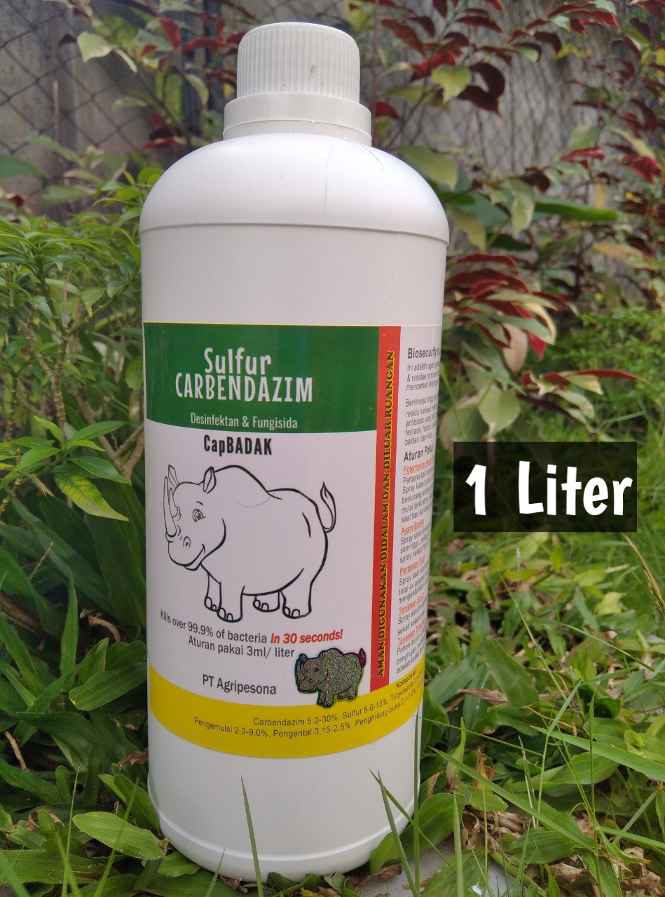 SULFUR CARBENDAZIM (Desinfektan+Fungisida) Cap BADAK Obat Sterilisasi ...