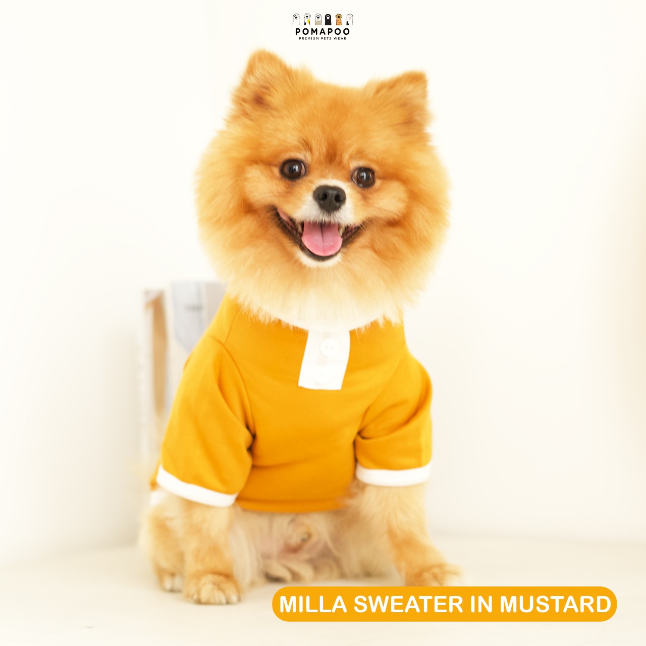 Milla Sweater - Sweater Kucing dan Sweater Anjing POMAPOO Premium ...