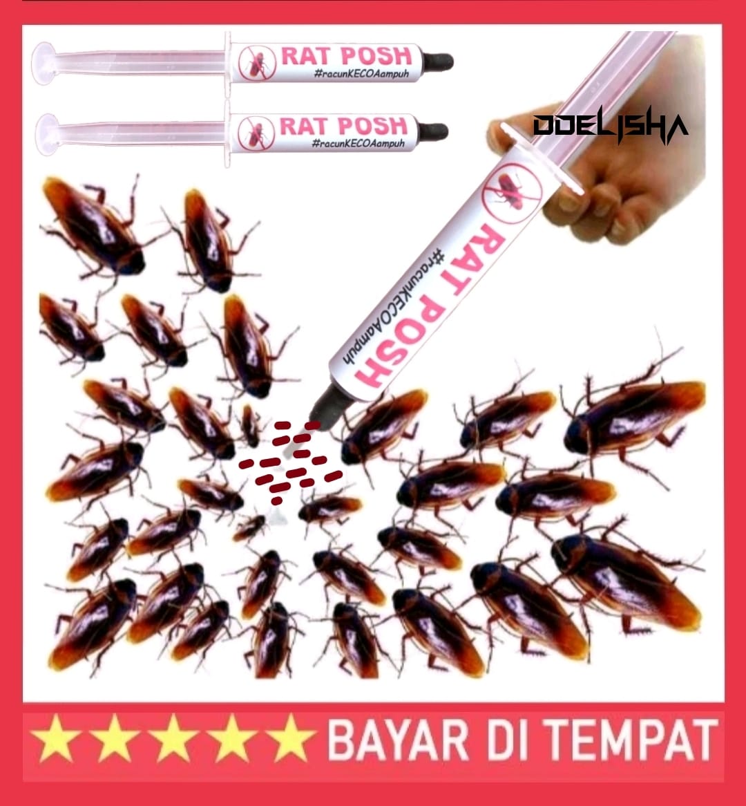 DDE - OBAT RACUN KECOA JERMAN - SEMUA JENIS KECOA | Lazada Indonesia
