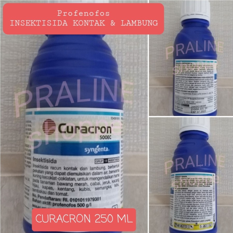 Curacron 500 EC 250 mL Insektisida Pembasmi Serangga Tanaman | Lazada ...