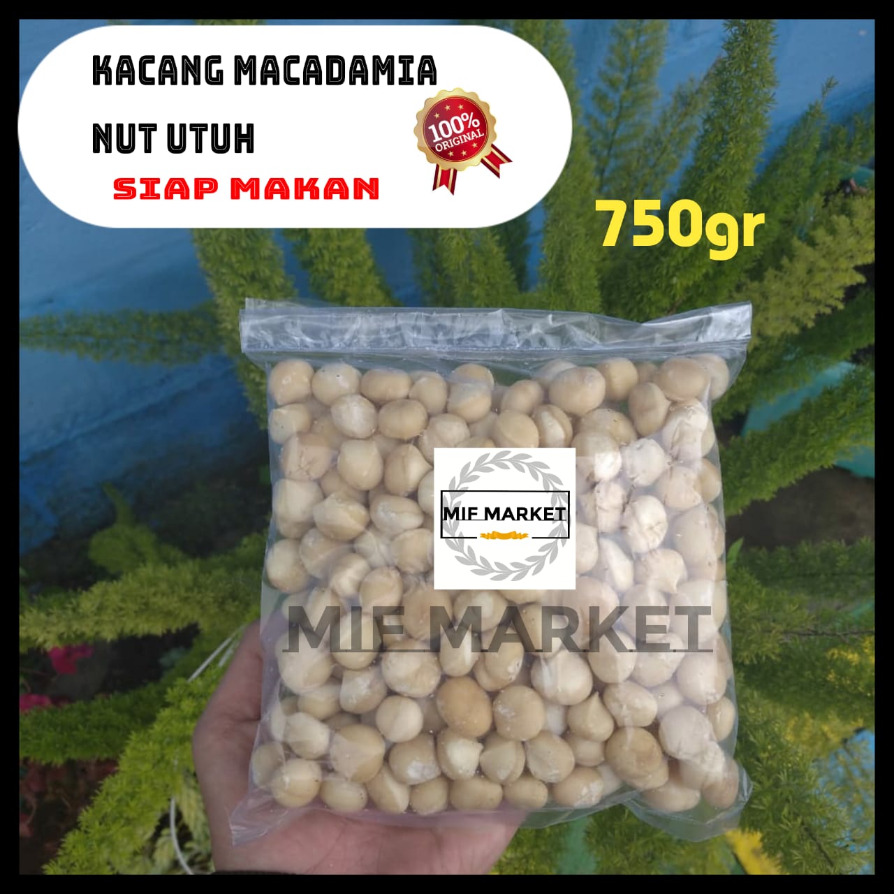 750gr Kacang Macadamia utuh, untuk: topping, cemilan, dll/kacang ...
