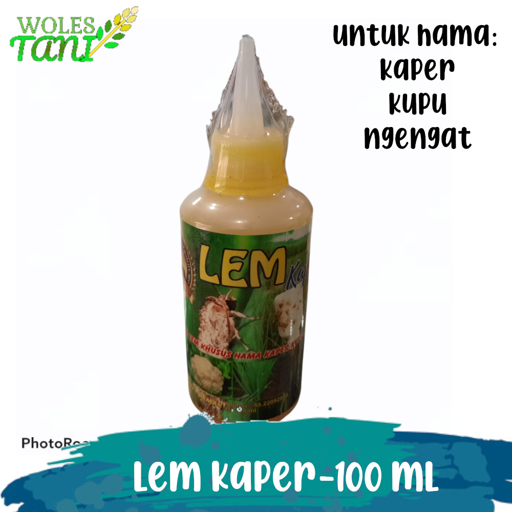 Lem Hama Lem Kaper 100 ml Lem Kupu Perangkap Kaper | Lazada Indonesia