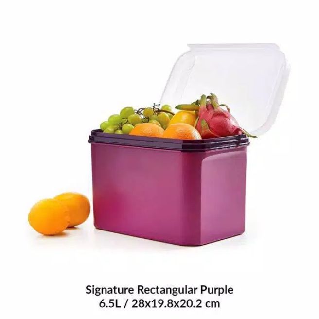 Signature Rectangular 6.5L Activity Tupperware | Lazada Indonesia