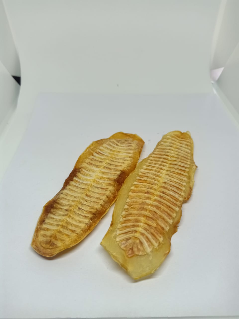 Ikan Tempel Asli | Lazada Indonesia