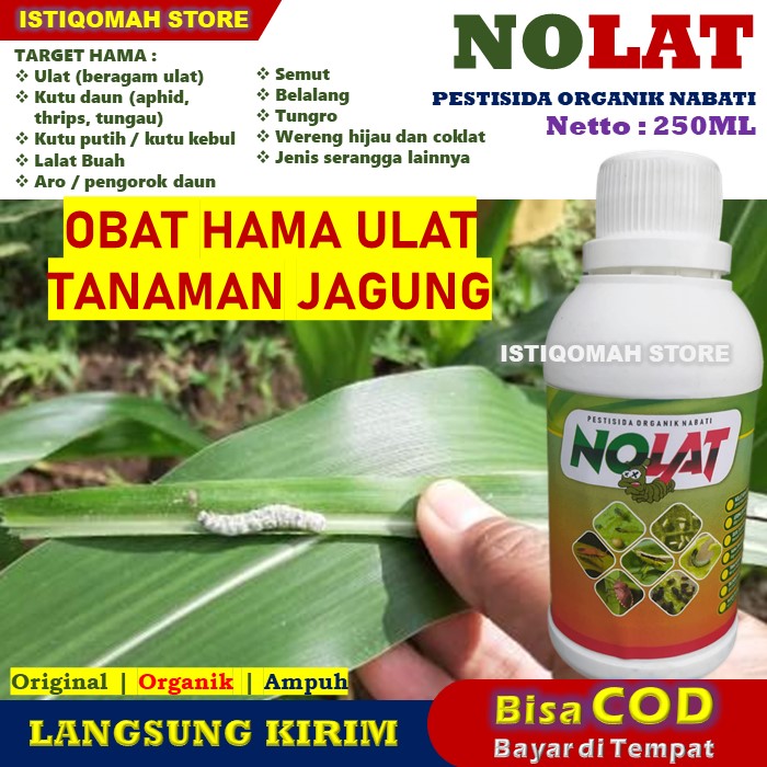 Obat Pembasmi Hama Ulat Jagung Ampuh NOLAT 250ML Pestisida Organik ...