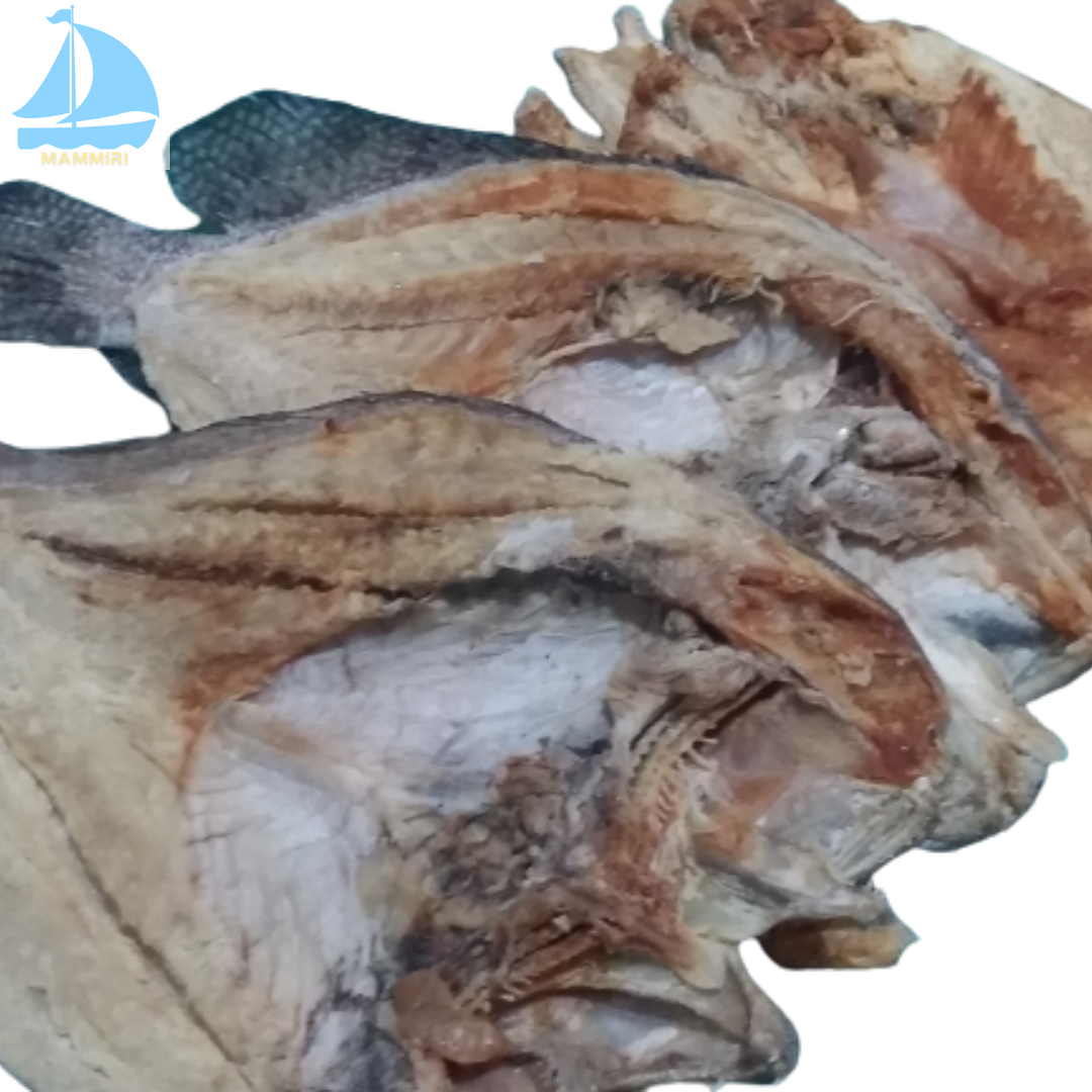 Ikan Katamba Kakap Kering 1 kg | Lazada Indonesia