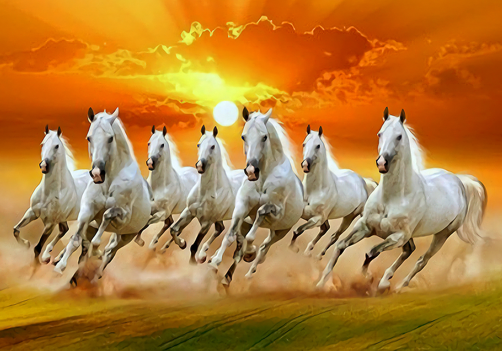 HIASAN DINDING POSTER KUDA 8 EKOR BEST SELLER UKURAN XTRA BESAR XTRA ...