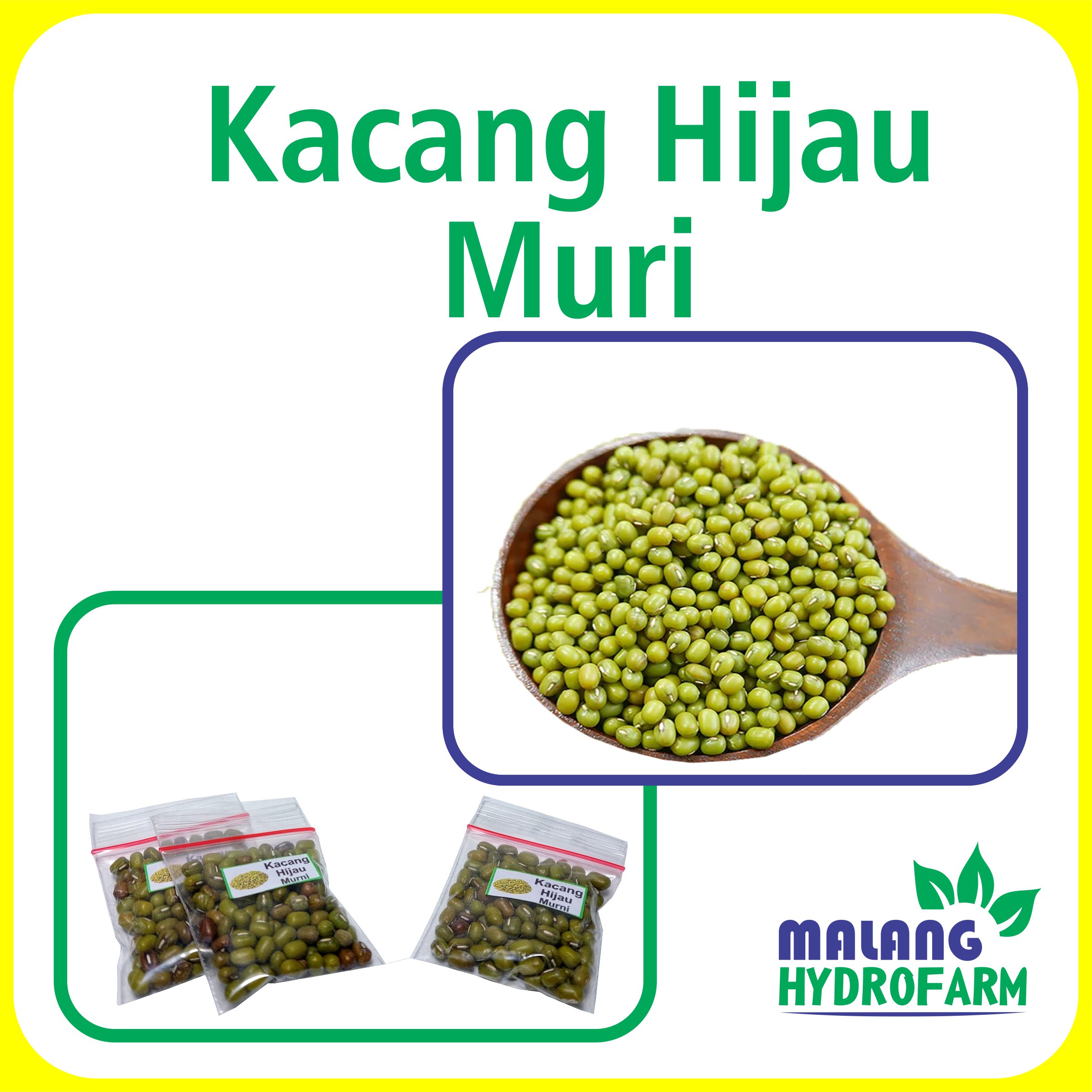 Benih Kacang Hijau Muri Unggul Berkualitas biji bibit repack kedelai ...
