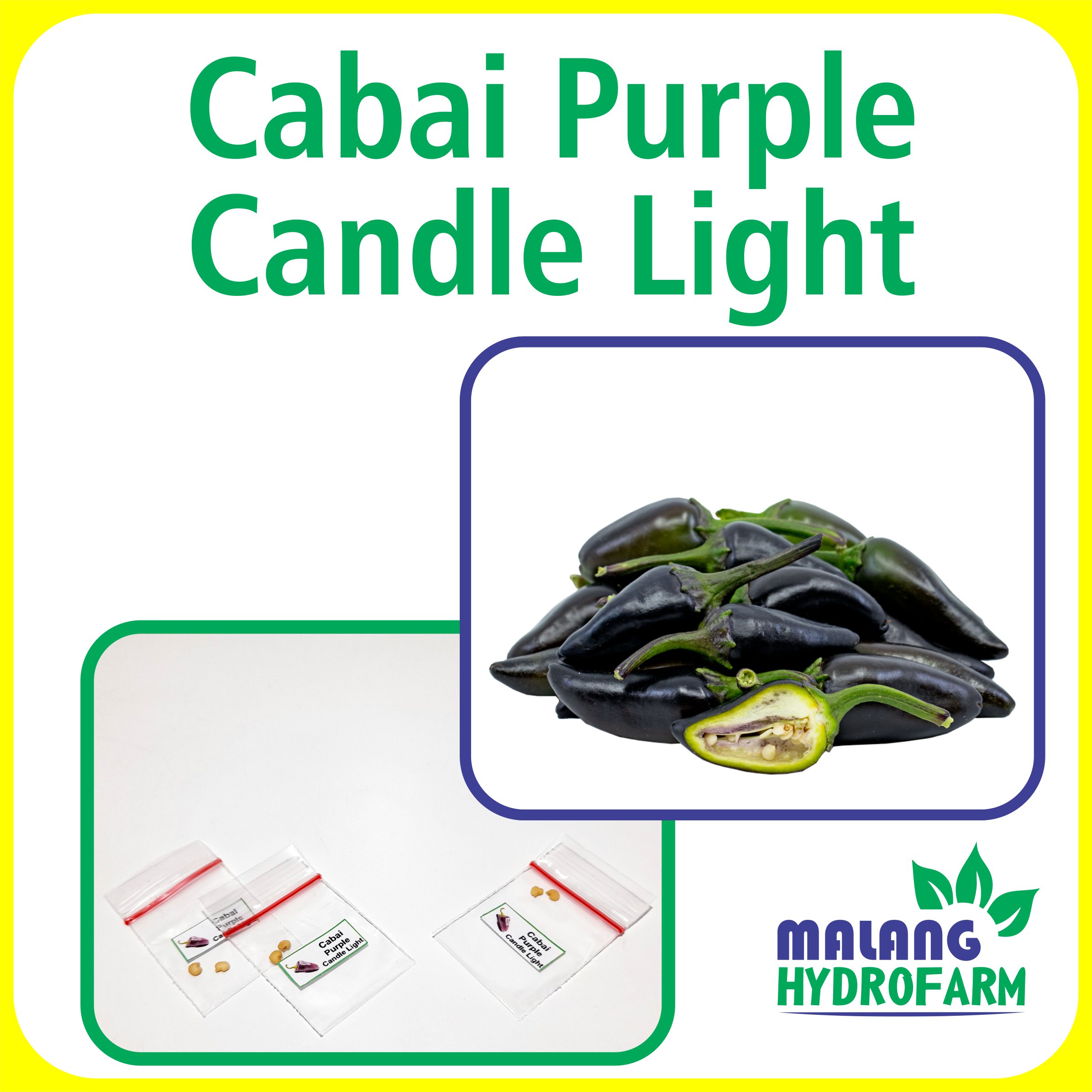 Benih Cabai Purple Candle Light Unggulan Berkualitas biji bibit repack ...