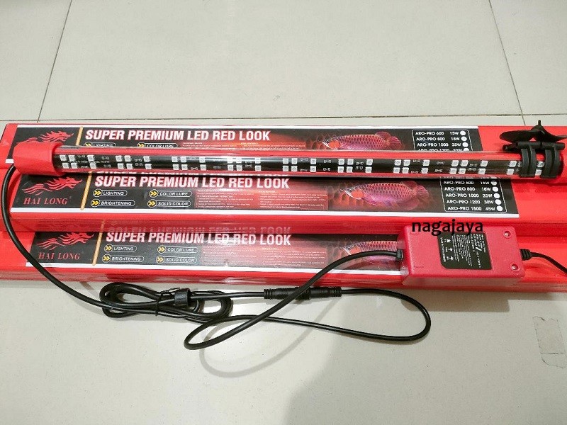 Lampu tanning arwana Hailong aro super premium red no kandila sakkai ...