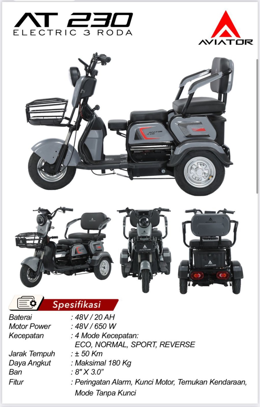 Sepeda Listrik Roda Tiga Aviator AT 230 E-Bike 800 Watt By Pacific ...