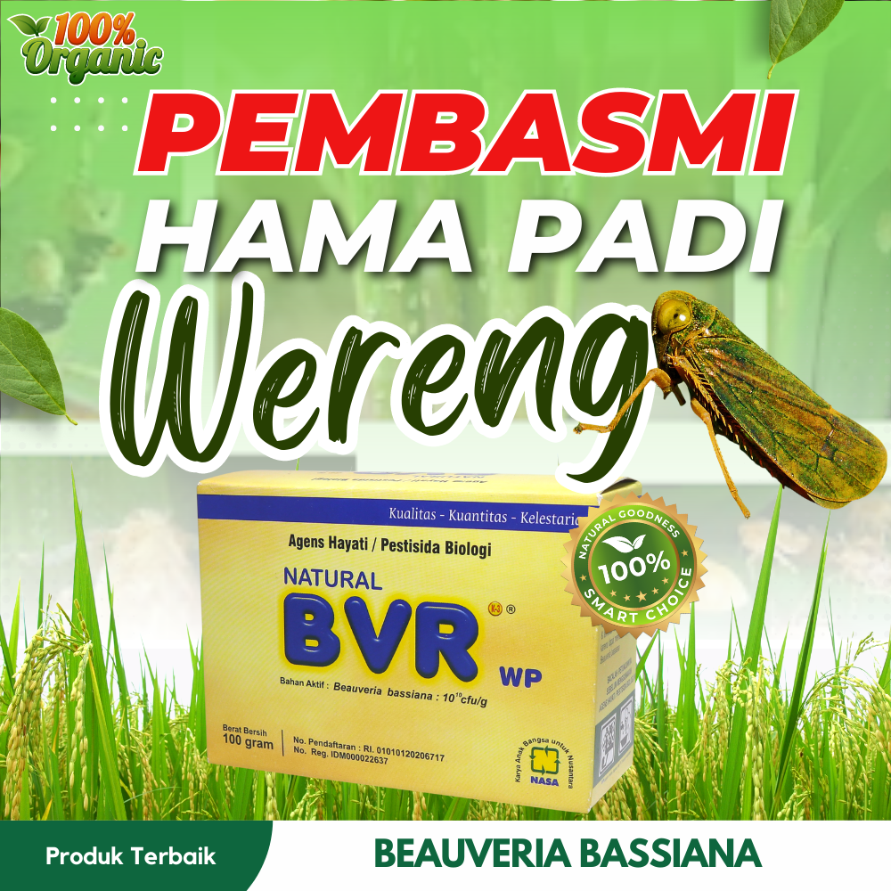 Pestisida tanaman padi/obat pestisida padi /pestisida hama wereng/obat ...