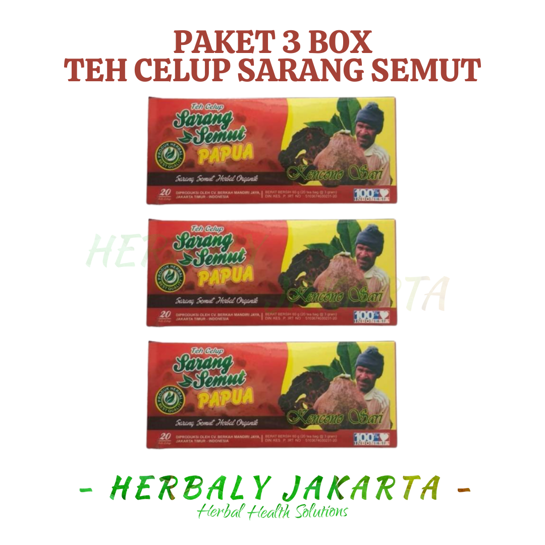 Teh Sarang Semut Papua Celup Isi 3 Box Kencono Sari | Lazada Indonesia
