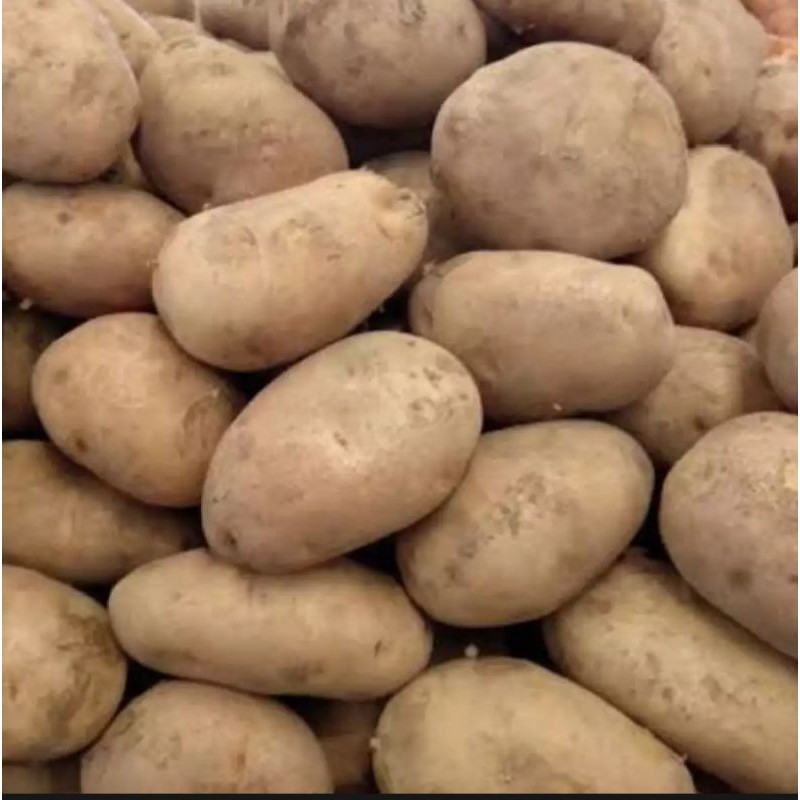 kentang super kualitas bagus 1 kg ,Kentang ukuran besar kentang kering ...