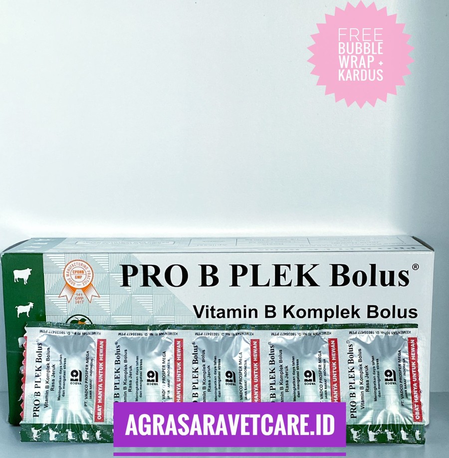 PRO B PLEK 1 BOLUS - Vitamin B kompleks Hewan BOLUS RASA JERUK | Lazada ...