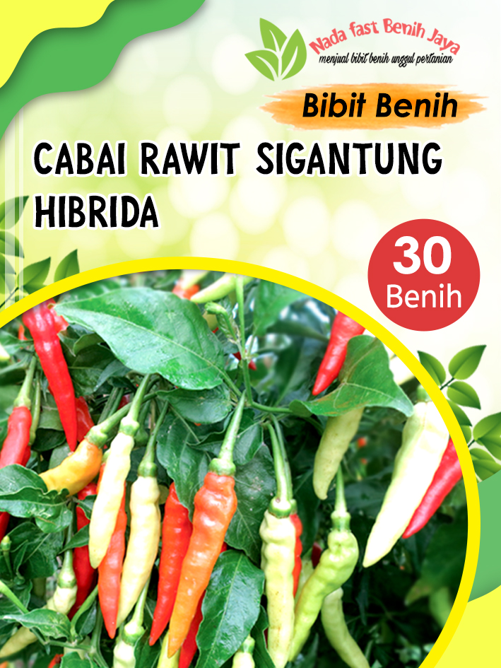 biji Benih cabe rawit sigantung hibrida - bibit sayuran Buy 1 Get 1 ...