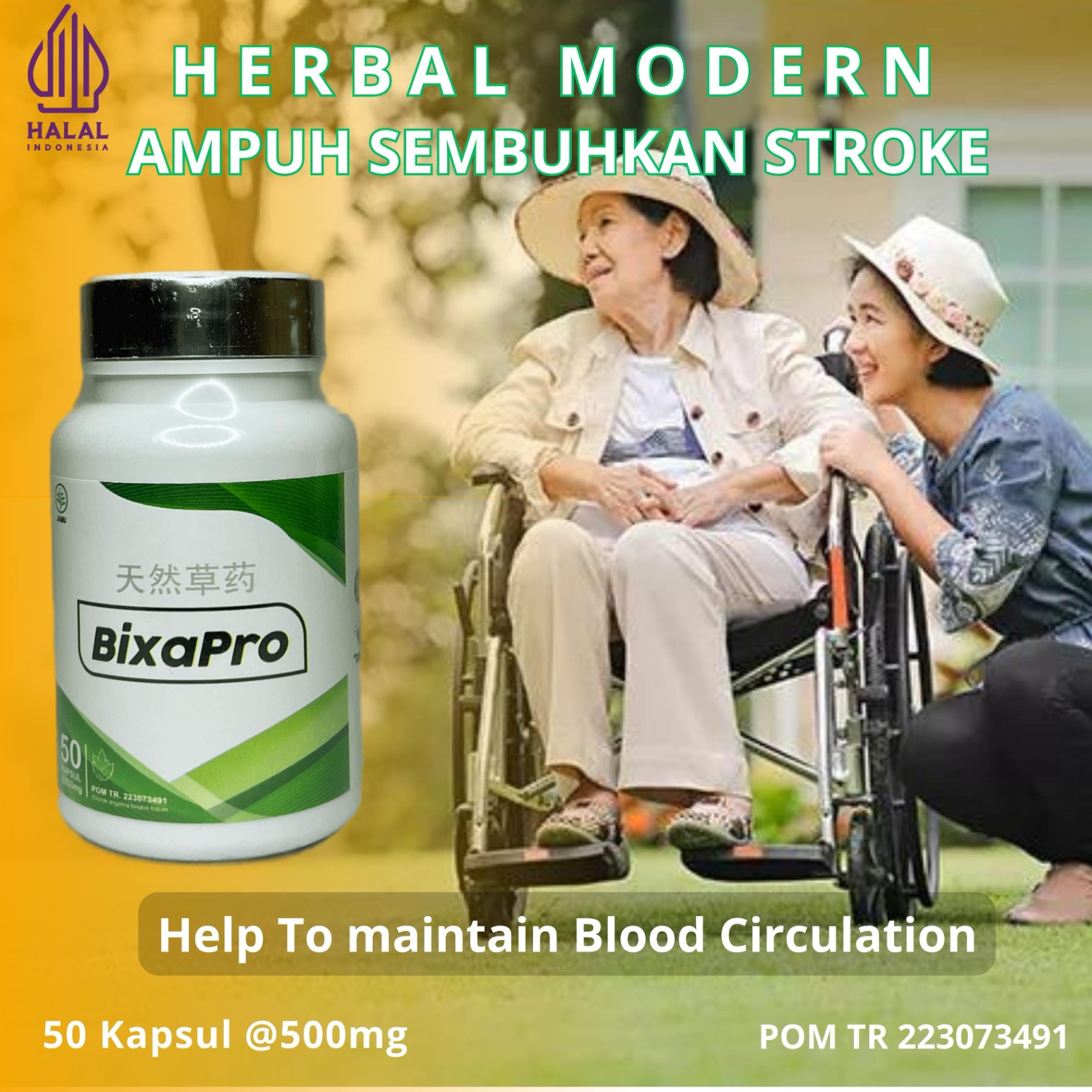 BixaPro Premium Obat Stroke Strok Pembersih Pembuluh Darah Penyumbatan ...