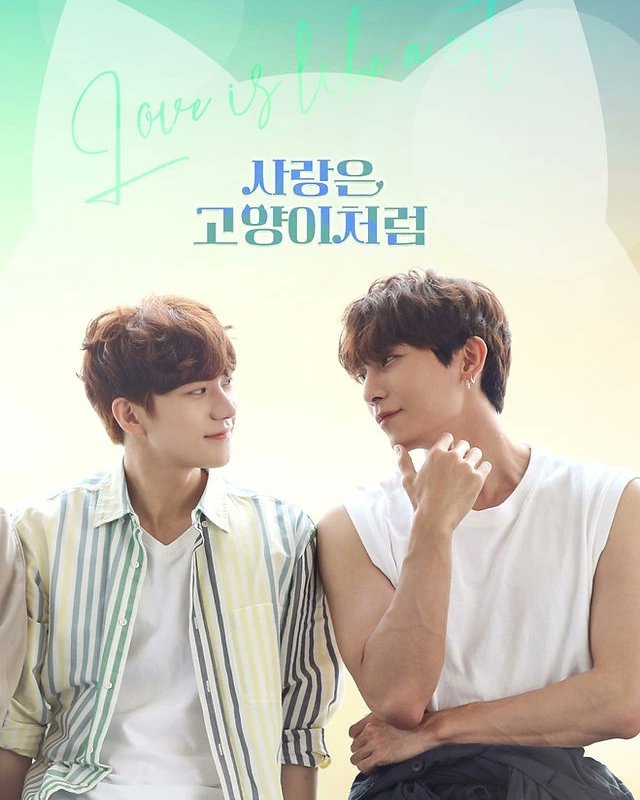 DVD Drama Korea Love Is Like a Cat (2024) - Subtitle Indo / Eng | Lazada Indonesia