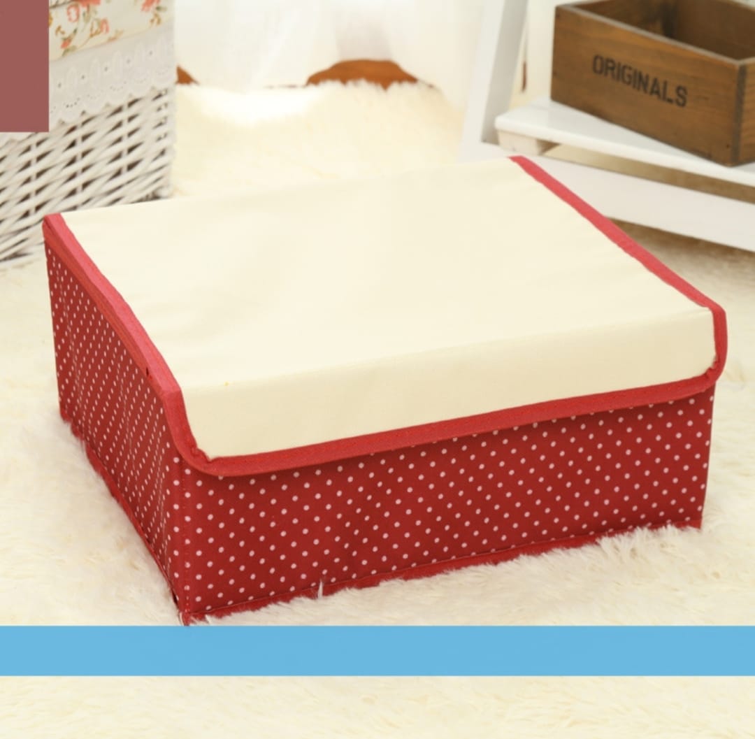 [TOYOU SHOP T12] STORAGE BOX 2 IN 1| TEMPAT PENYIMPANAN PAKAIAN DALAM ...