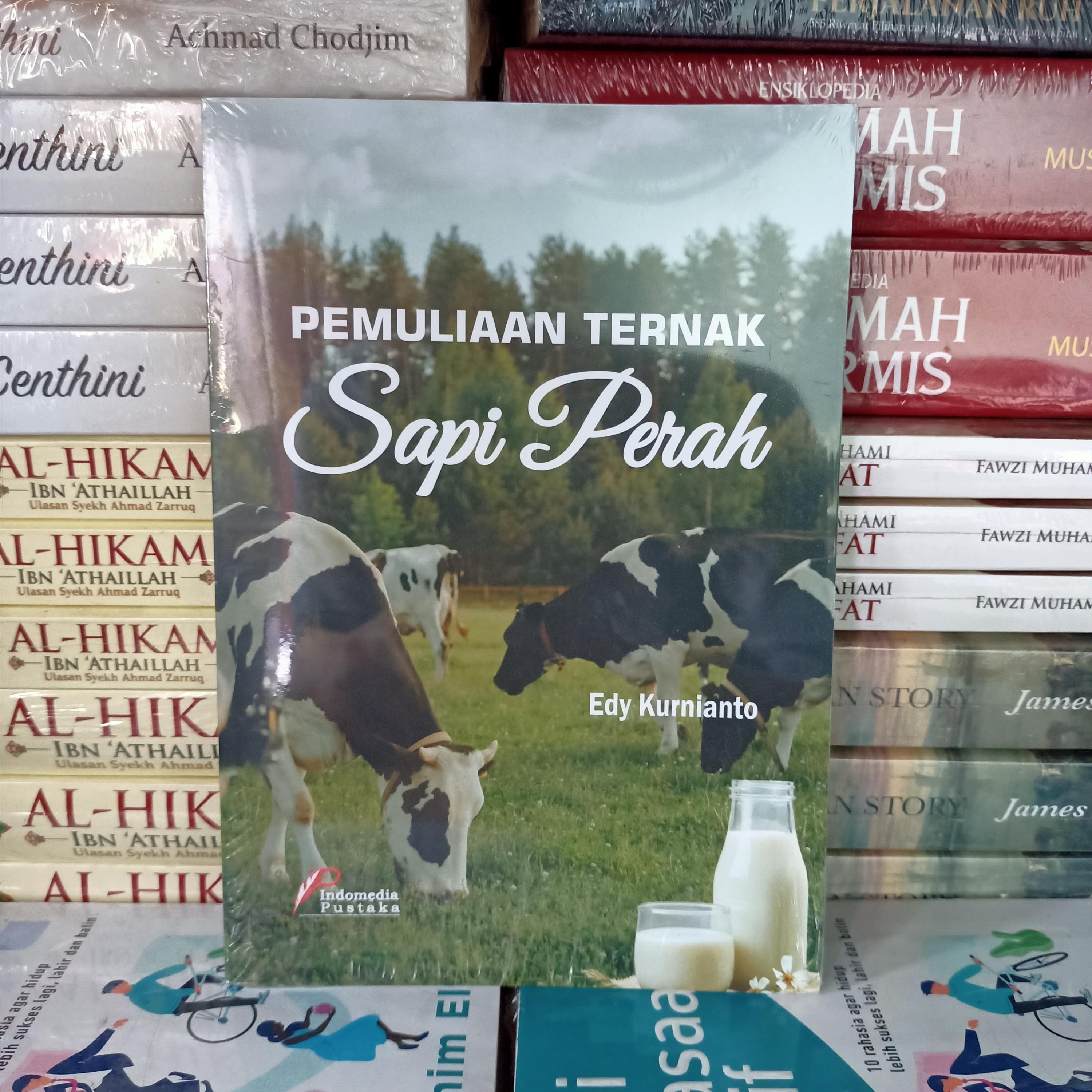 Pemuliaan Ternak Sapi Perah - Edy Kurnianto | Lazada Indonesia