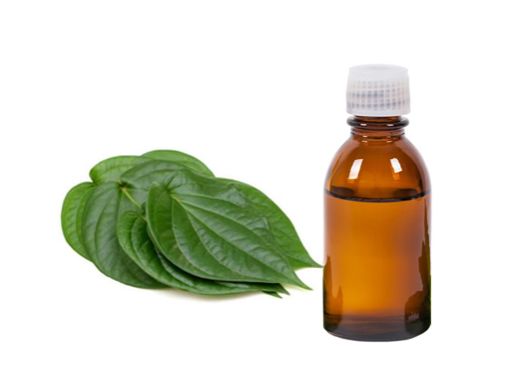 minyak daun sirih | Lazada Indonesia